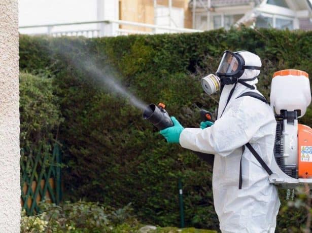 Future Pest Control Tech - Innovations by Pest Blaster